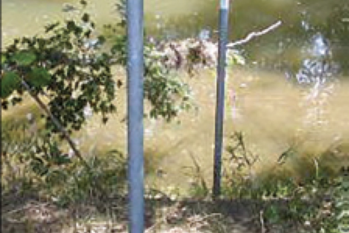 Hydrology > Surface Water Level > Non Recording > Crest Gauges